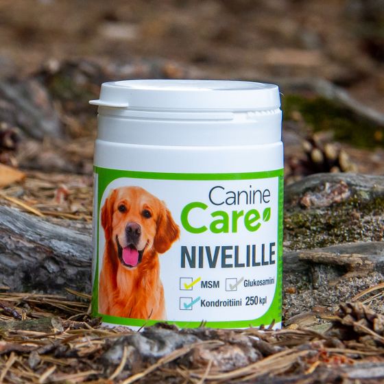 CanineCare Nivelille, 250 tabl. | DreamPetStore
